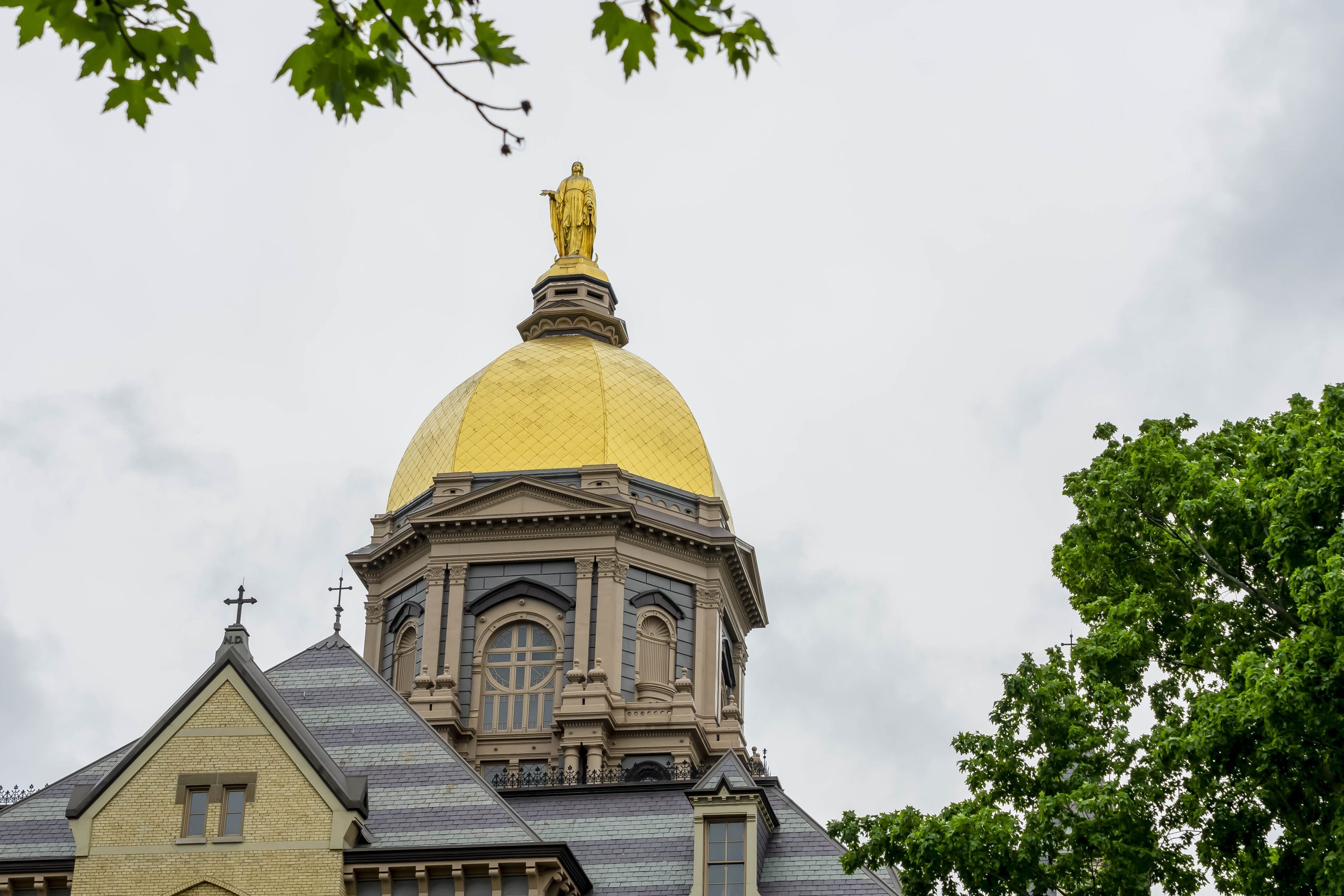 Notre Dame Vision - Blessed Sacrament Catholic Church